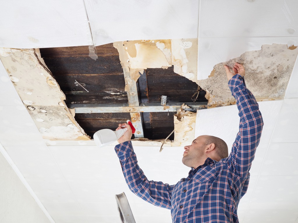 AC Can Attract Termites | ABIS